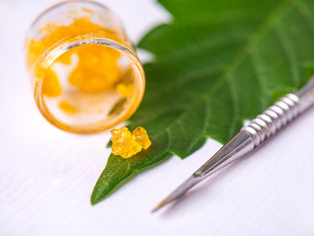 What Is Live Resin? Is Live Resin Really Stronger?