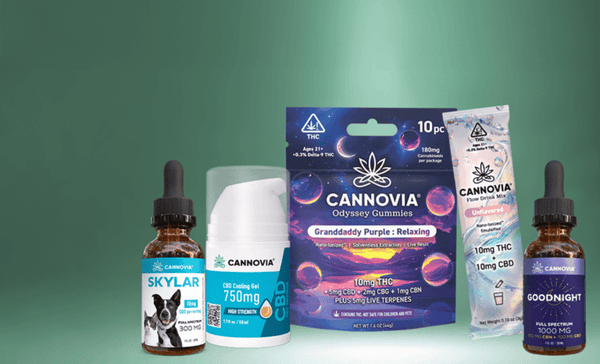 CBN and THC Together: Benefits, Effects, Uses » Cannovia